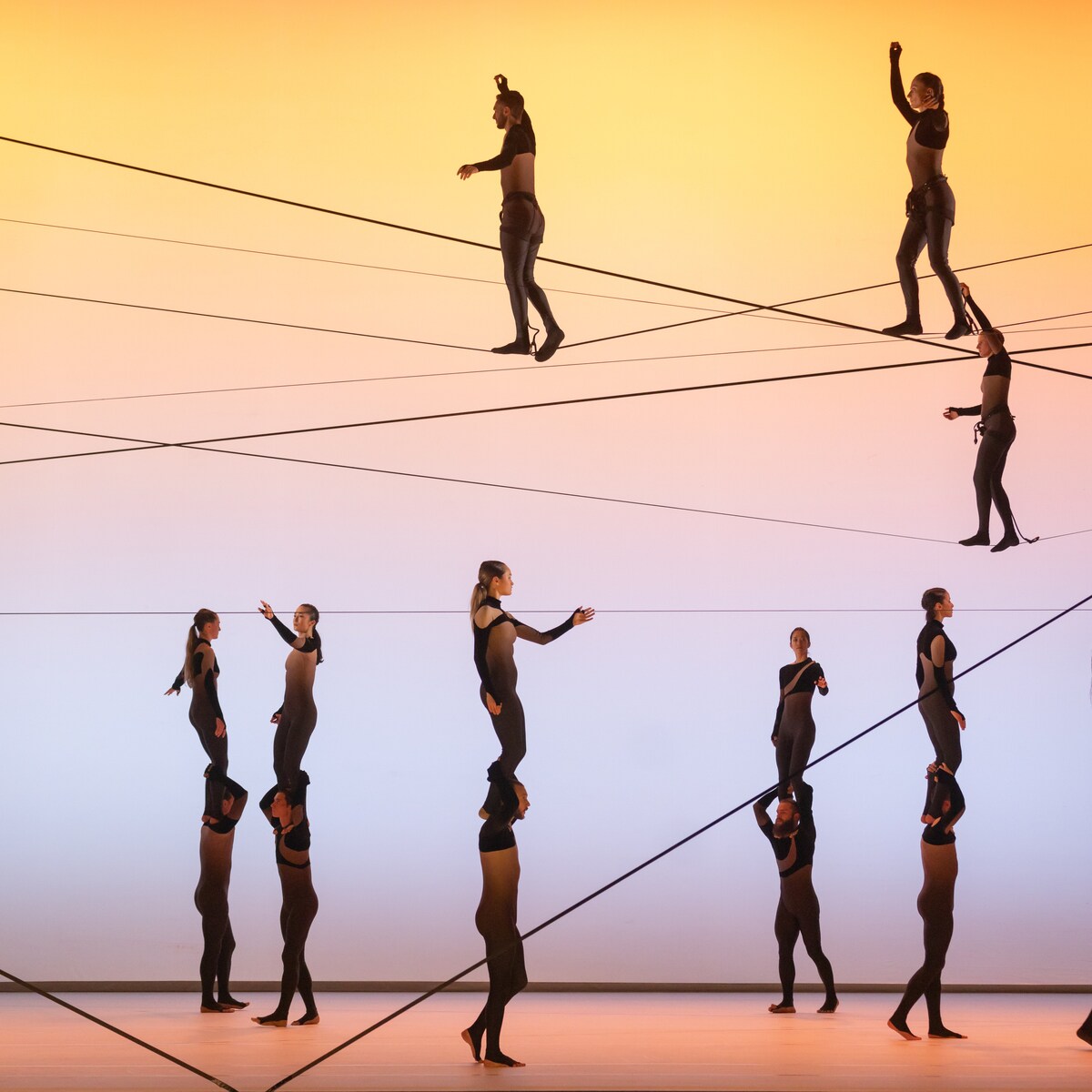 Homepage - Dance Reflections by Van Cleef & Arpels